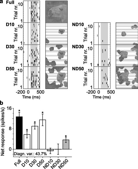 Dissociation Between Local Field Potentials And Spiking Activity In Macaque Inferior Temporal