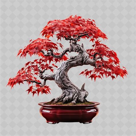 Png Maple Bonsai Tree Porcelain Pot Palmate Leaves Crimson Theme
