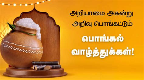 Pongal Wishes In Tamil பொங்கலோ பொங்கல் உறவுகளுக்கு இனிய பொங்கல் நல்வாழ்த்துக்கள் சொல்ல
