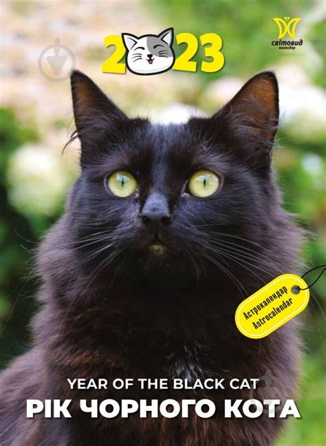ᐉ Календар Діана Плюс «Світовид Рік чорного кота Астрокалендар 2023 • Краща ціна в Києві