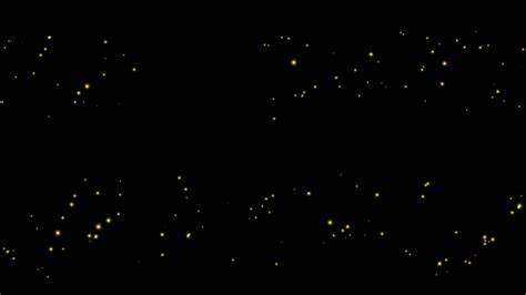 萤火虫粒子闪烁视频素材下载编号9006549光厂vj师网