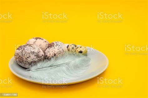 노란 배경에 여러 가지 색깔의 깃털에 부활절 달걀 부활절엽서 부활절에 축하 인쇄 텍스트를 삽입 하는 장소 4월에 대한 스톡 사진 및 기타 이미지 Istock