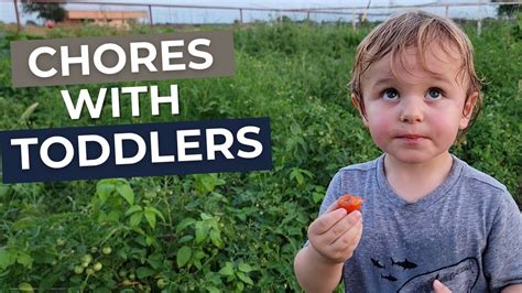 Trying To Get Some Of The Outside Chores Done With The Boys Youtube