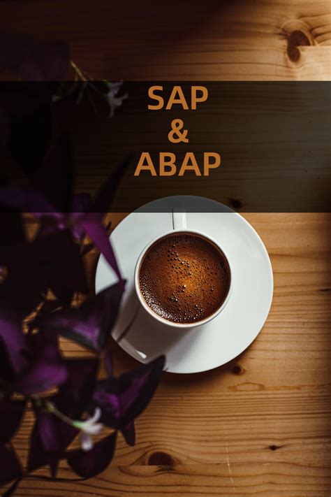 Sap Abap 20（中日版）message Se91 知乎