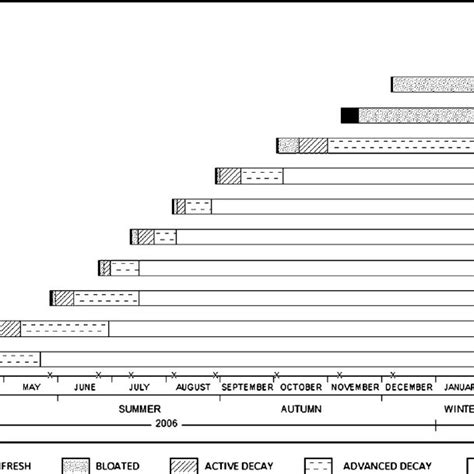 Decomposition Process Duration Of Each Stage Of All Carcasses Are
