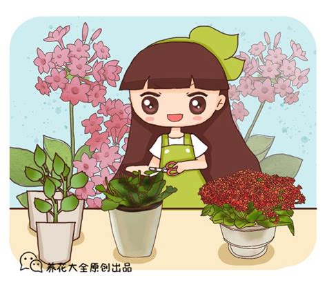 夏天不要養這5種花，一不小心就容易養死，新手不要輕易嘗試