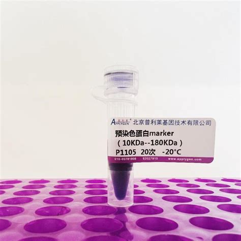 普利莱 预染色蛋白marker（10kda 180kda） P1105 100