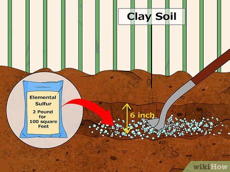 How To Acidify Soil With Pictures