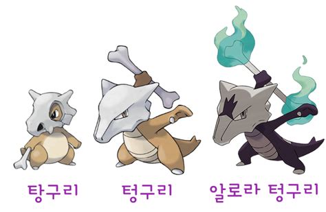 포켓몬고 알로라 텅구리 레이드 공략 탕구리 진화 불가 네이버 블로그