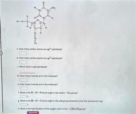 Solved A How Many Carbon Atoms Are Sp 3 Hybridized B How Many