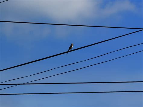 Pattern HUAWEI Community