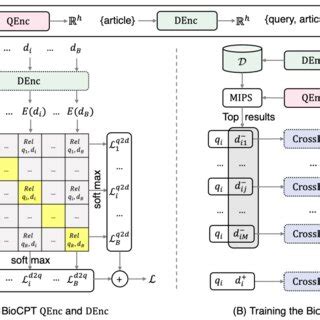 PDF BioCPT Contrastive Pre Trained Transformers With Large Scale PubMed Search Logs For Zero