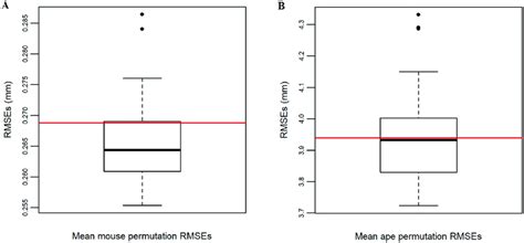 permutation analyses for evaluating the performance of the k means