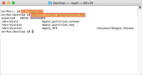 4 Fixes To Open DMG Files On Mac With Terminal EaseUS