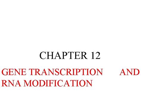 Chapter 12 Gene Transcription Rna Modification And Overview