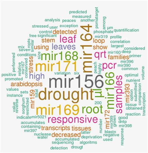 Stem Loop Sequence Ppe Mir I Word Cloud In R Studio X PNG Download PNGkit
