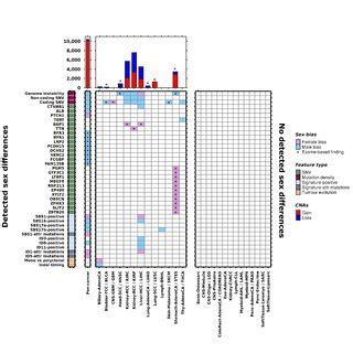 The Landscape Of Sex Differences In Cancer Genomics Heatmap Shows Download Scientific
