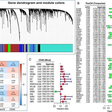 screening of prognostic genes a weighted gene co expression network