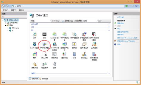Win10 系统下本地 Iis 管理器 Mime 类型添加 程序员大本营