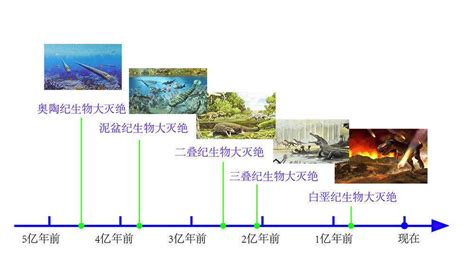 揭秘地球上的5次生物大灭绝事件，现已步入第六次生物大灭绝？地球灭绝物种灭绝新浪新闻