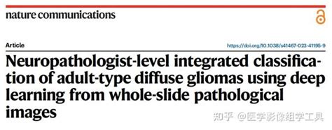 生境分析病理组学）平台实操讲解：使用深度学习从全切片病理图像对成人型弥漫性胶质瘤进行神经病理学家级别的综合分类 知乎
