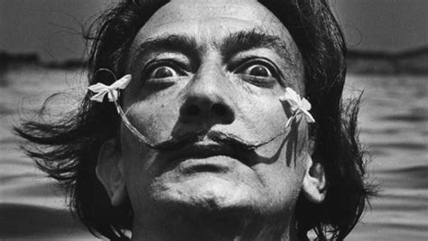 Сегодня родился он Пикабу