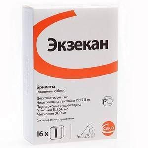 Экзекан для собак: инструкция по применению, отзывы, цена