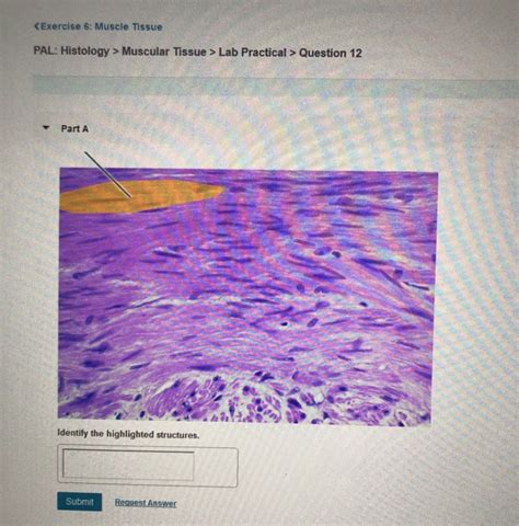 solved lab practical question 10 parta identify the