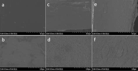 SEM Images Of Films A B FC C D F21 And E F F31 Download Scientific Diagram