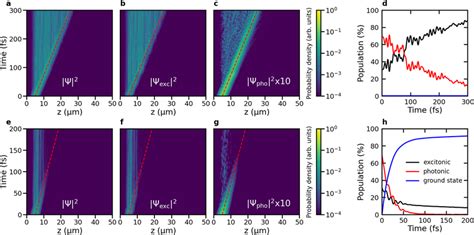 Polariton Propagation After Resonant Excitation Of A Wavepacket In The