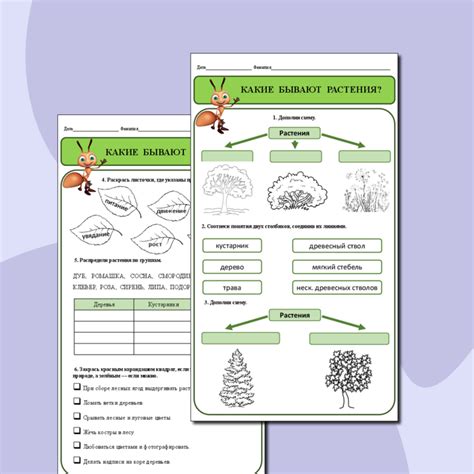 Какие бывают растения 2 класс