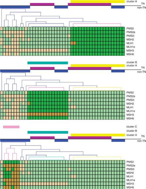 Unsupervised Hierarchical Clustering Analysis Among Tn Represented By Download Scientific