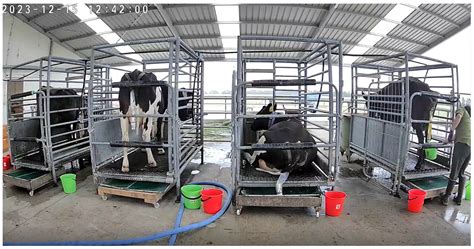 Validation Of A Remote Sampling Sensor For Measuring Urine Volume And Nitrogen Concentration In