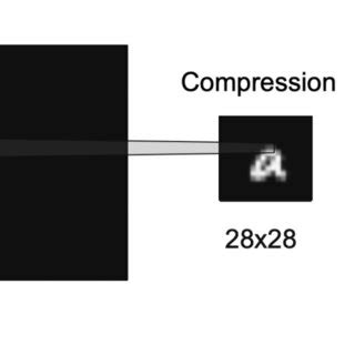 Sample Image Processing For Our CNN Model Download Scientific Diagram