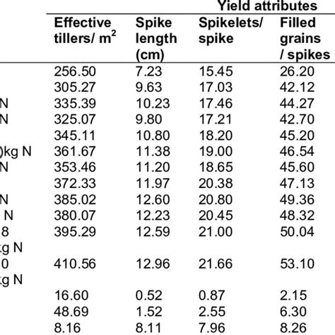 Effect Of Precision Nitrogen Management On Yield Attribute Of Wheat