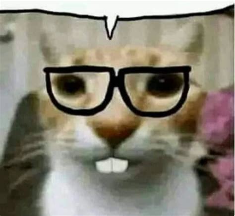 Pasen Formas De Saludar Rmaau