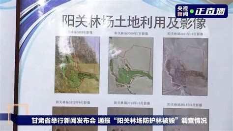 甘肃通报敦煌防护林被毁已对相关责任人严肃处理 阳关