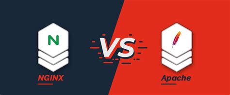 apache vs nginx qual è il miglior server web managed server