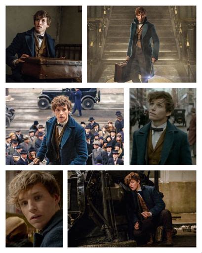 Newt Scamander Harry Potter Amino
