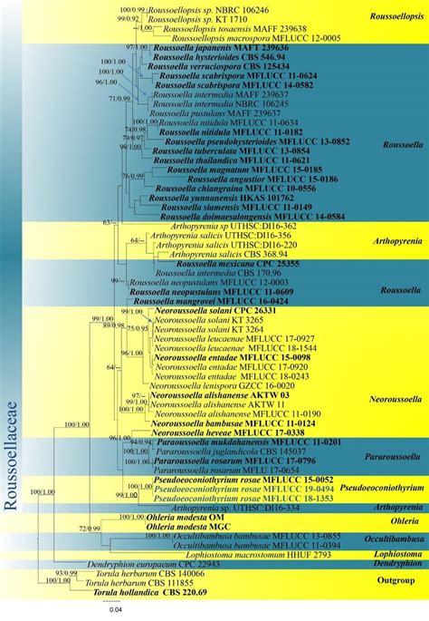 Phylogram Generated From Maximum Likelihood Analysis Raxml Of