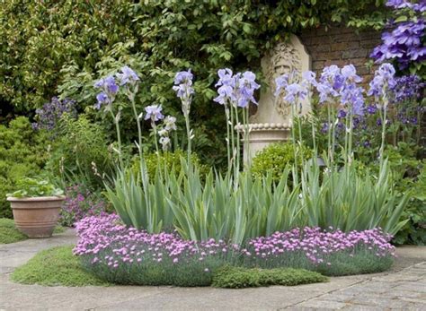 22 Iris Garden Design Ideas You Cannot Miss Sharonsable