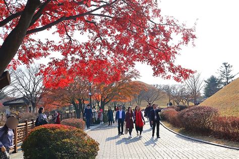 경주 당일치기 여행 유적지 추천 대릉원 돌담길 단풍 명소 사진찍기좋은곳 네이버 블로그