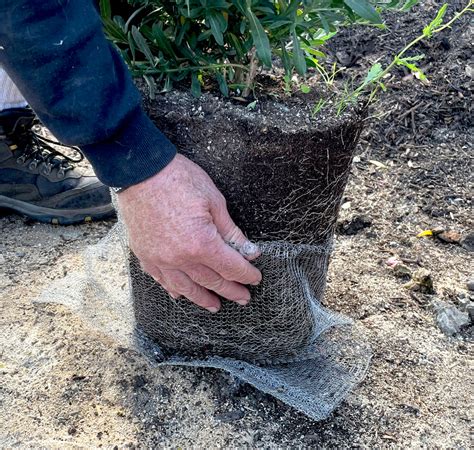 Gopher Barrier Gopher Wire Baskets Medium 5 Gallon 5 Pack