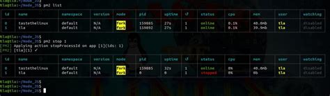 Pm2 Commands List Pm2 Commands Node Linux Taste The Linux
