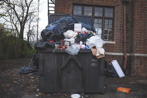 Top Culprits Of Unpleasant Home Odors And How To Fix Them Steve Cheney