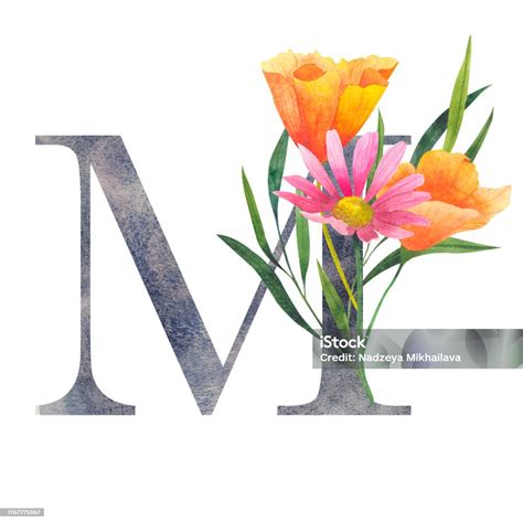 수채화 야생화가 있는 문자 M 식물 꽃다발로 분리 된 꽃 알파벳 모노그램 이니셜은 결혼식 초대장 생일 인사말 카드 및 기타 디자인에 완벽하게 어울립니다 0명에 대한 스톡