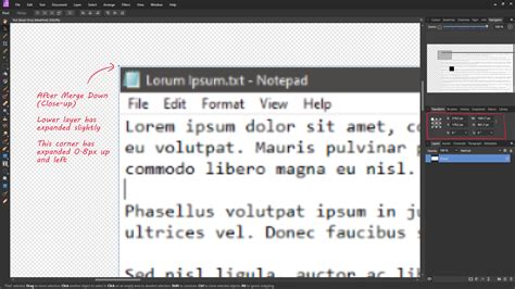 Transform Selection Option Please Feedback For Affinity Photo V1 On Desktop Affinity Forum