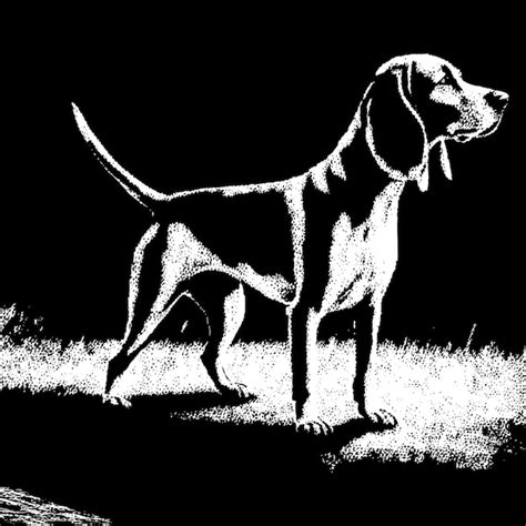 산책 중인 비글의 실루 프로파일 터 일러스트레이션 조각 프리미엄 Ai 생성 벡터