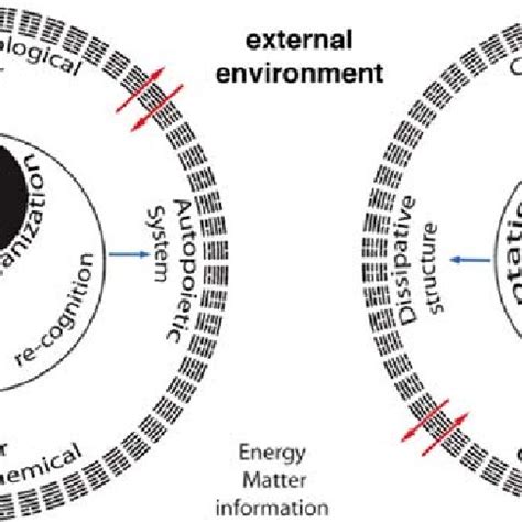 Map Of Complexity Science By Castellani 9 This Is A File From The