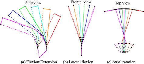 Figure 1 From Kinematic Compatible Design And Analysis Of A Back Exoskeleton Via A Hyper